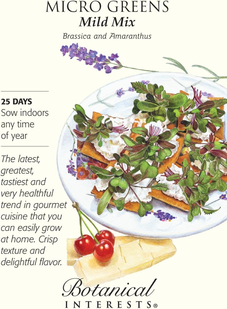 Amazon.com : Micro Greens Mild Mix Seeds 8 Grams : Lettuce Plants ...