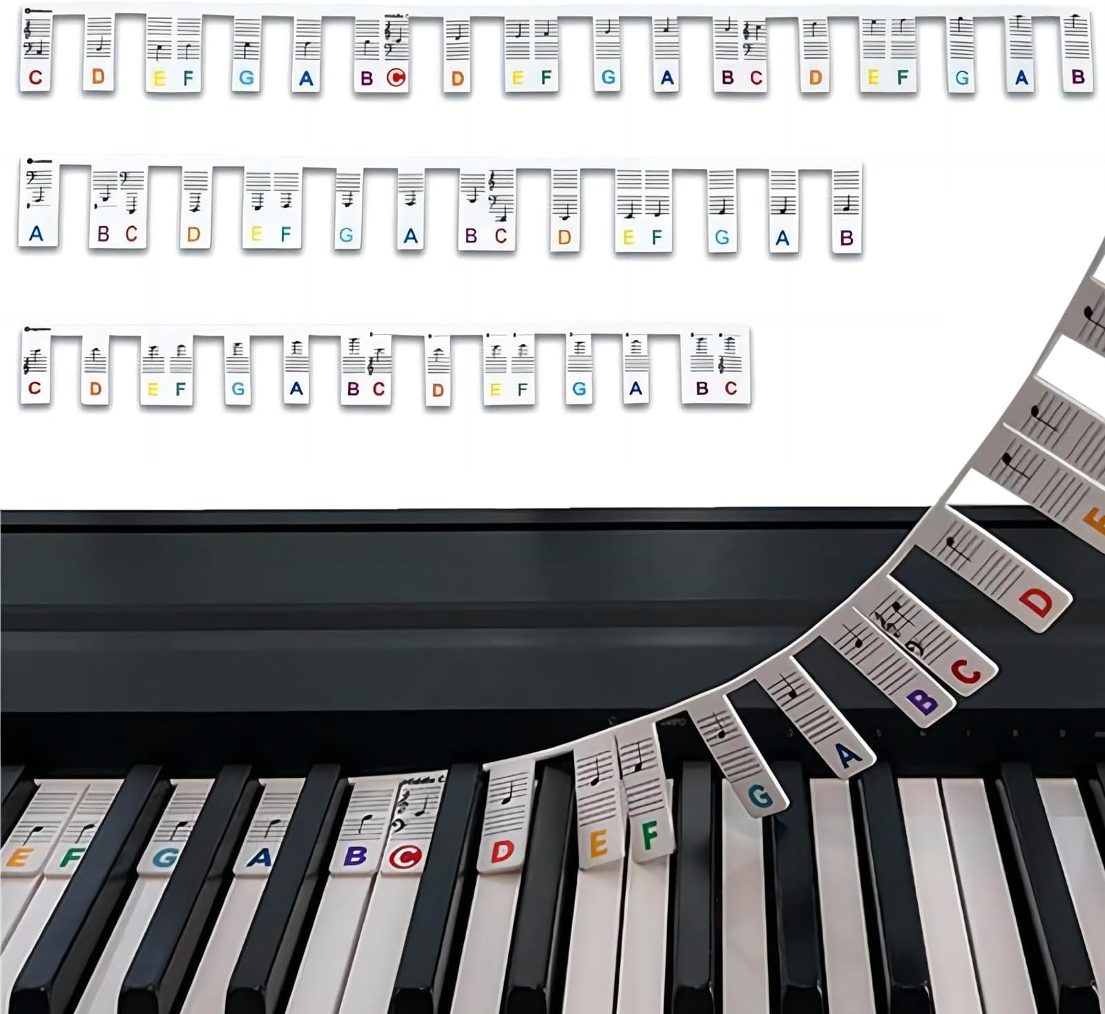 ZARSIO Removable Piano Keyboard Note Labels 61/88 Key Full Size ...
