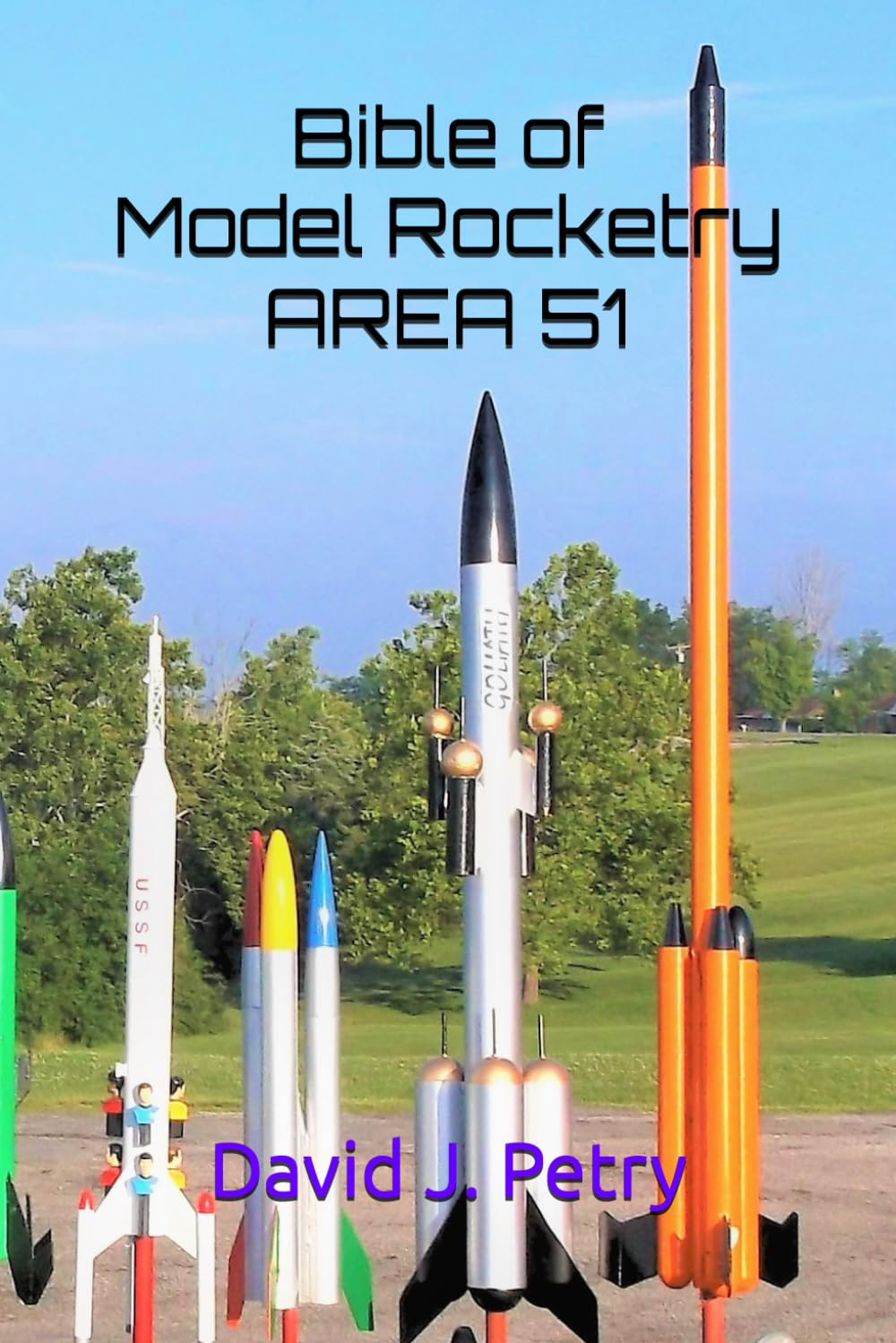 Bible of Model Rocketry: Petry, Mr. David J: 9781490408828: Amazon.com ...