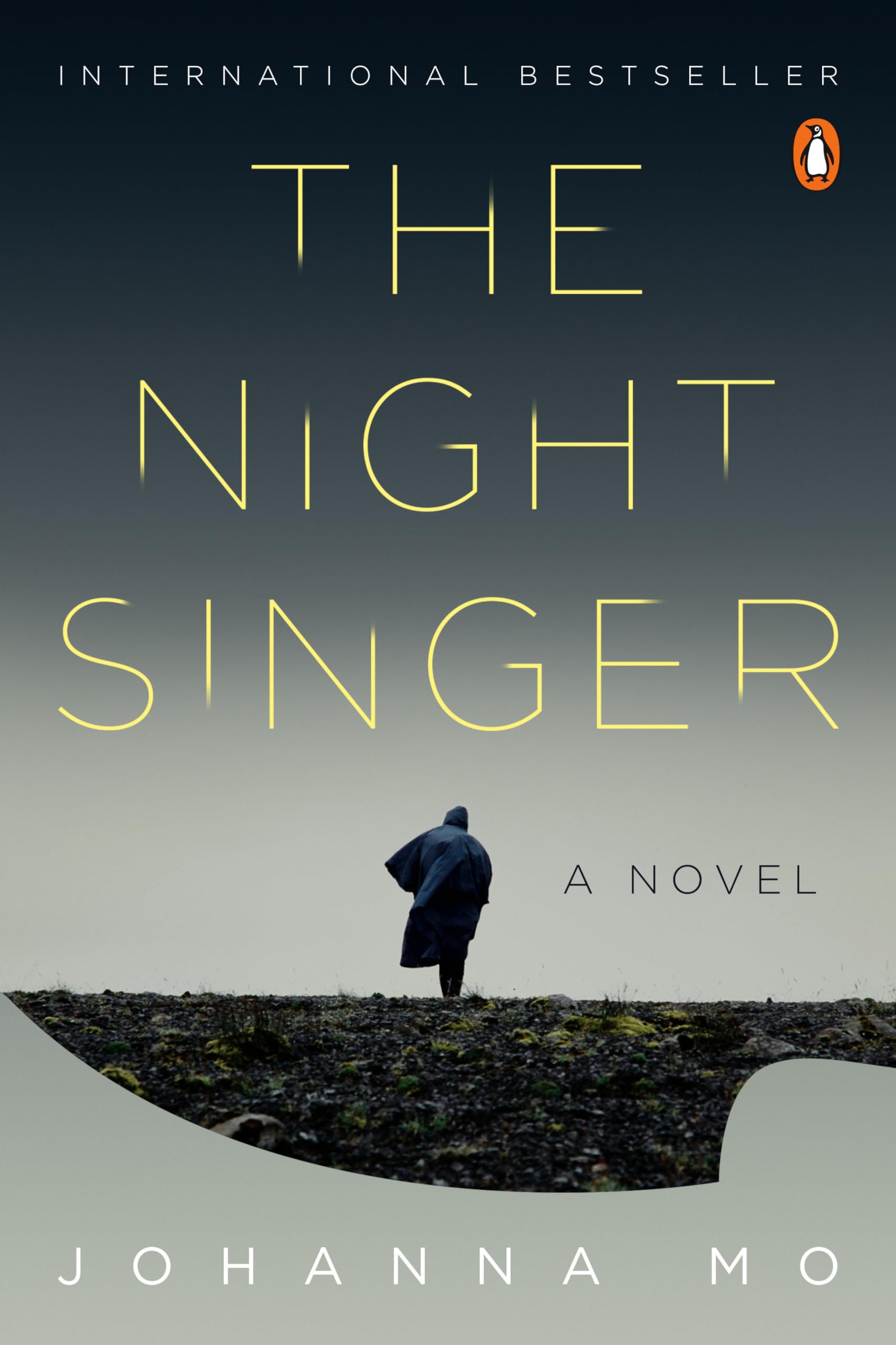 Amazon.com: The Night Singer: A Novel (The Island Murders ...