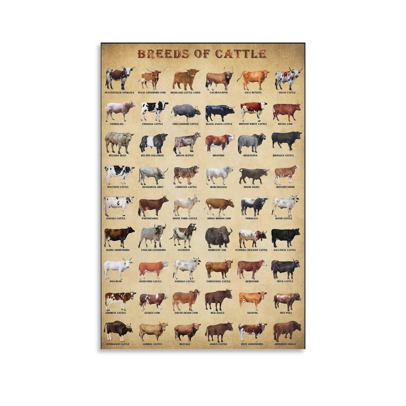 Amazon.com: CYPGTBCK Vintage Cattle Poster Breeds of Cattle knowledge ...