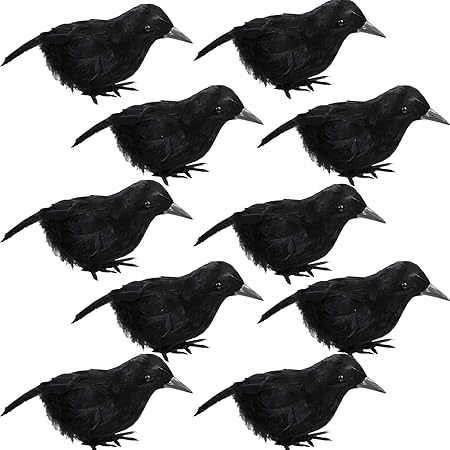 Amazon.com: YOFIT Halloween Crow Decorations 6 Pack, Assorted Size ...