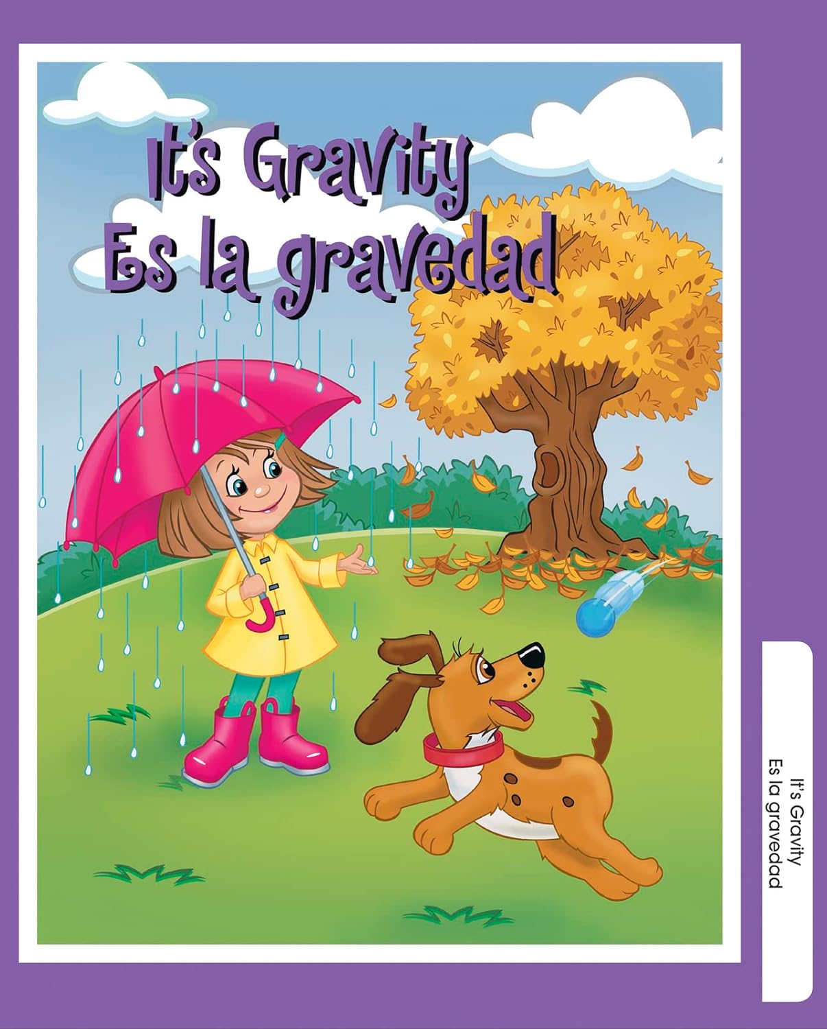 Amazon.com : Frog Street It's Gravity Story Folder : Office Products