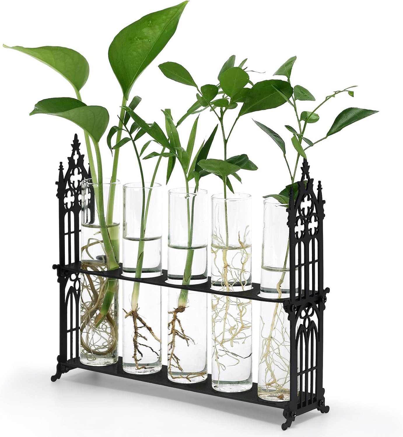 Amazon.com: Qmetalart Gothic Plant Propagation Stations with 6 Test ...