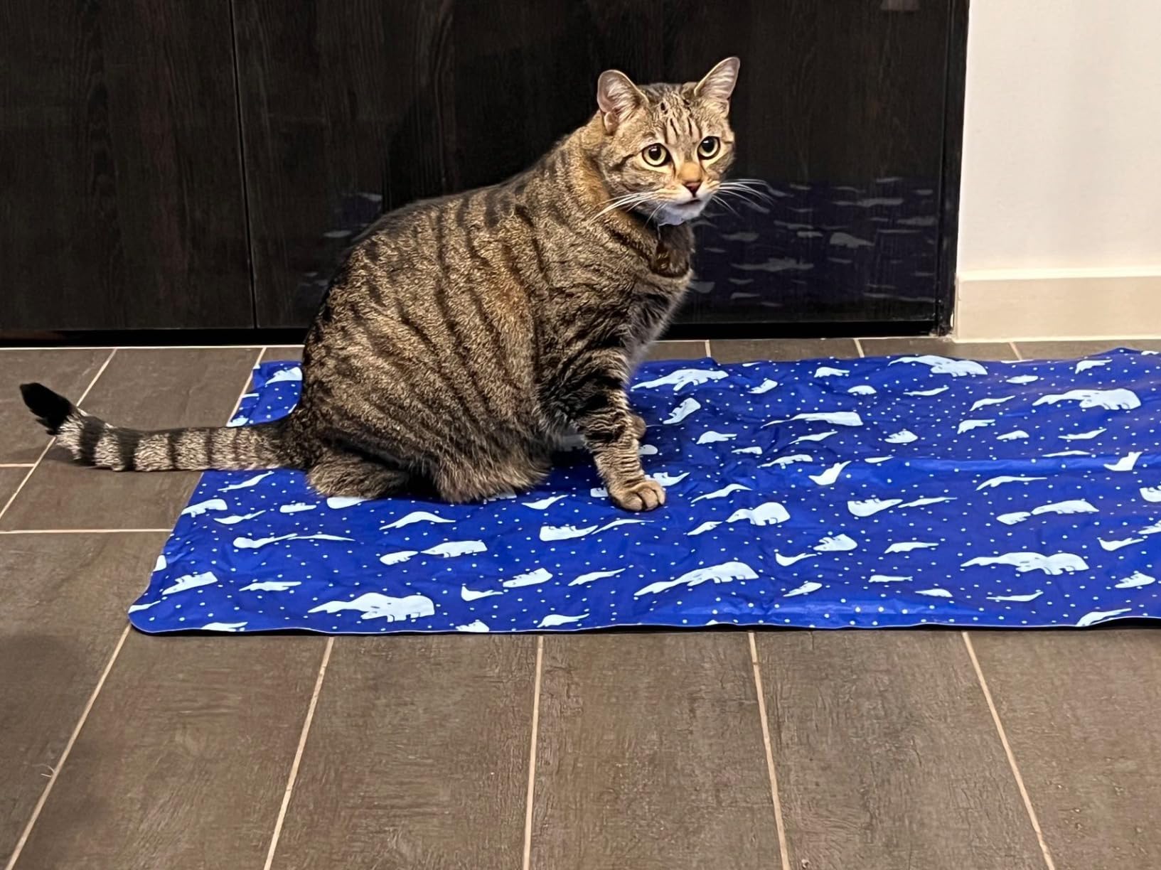 Pet Zzz 90x60cm Dog Cooling Mat, Large Pet Cooling Bed, Non-Toxic Gel ...