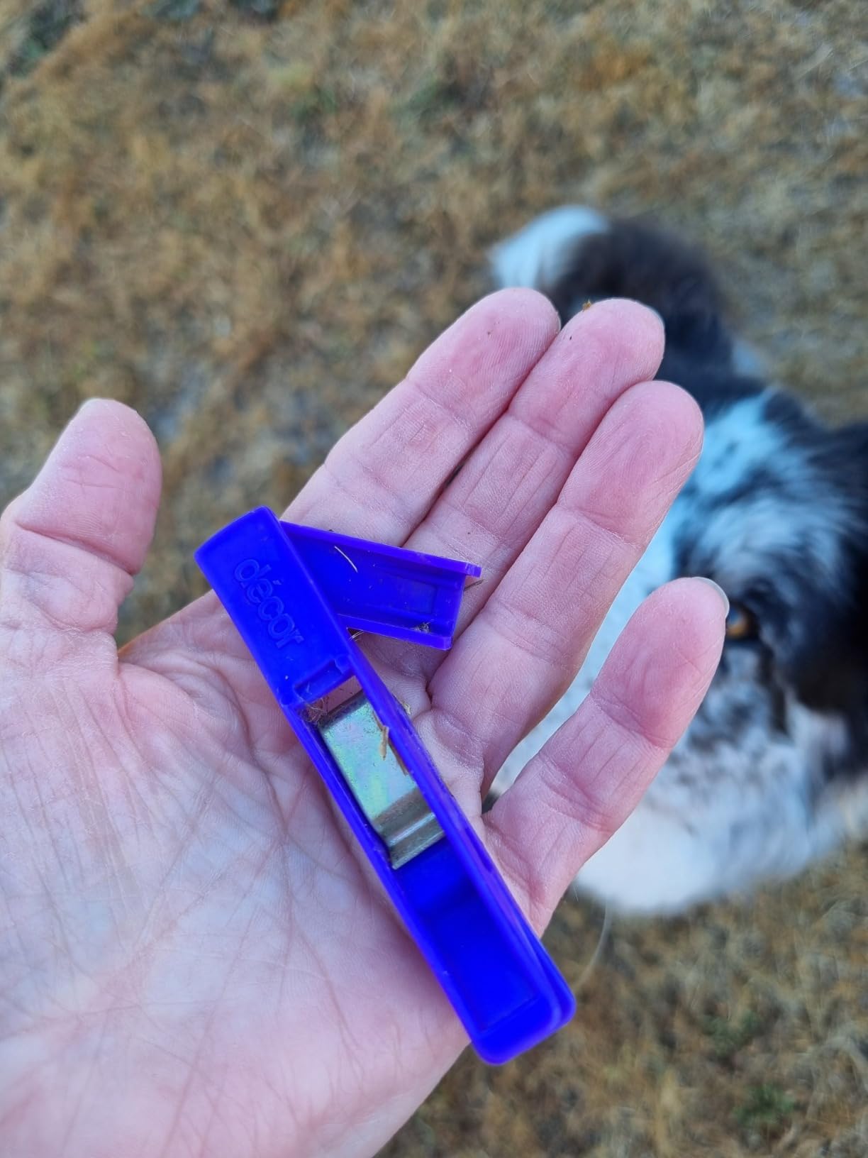 Decor Reva Super Hold Assorted Clothes Pegs, 24 Piece : Amazon.com.au: Home