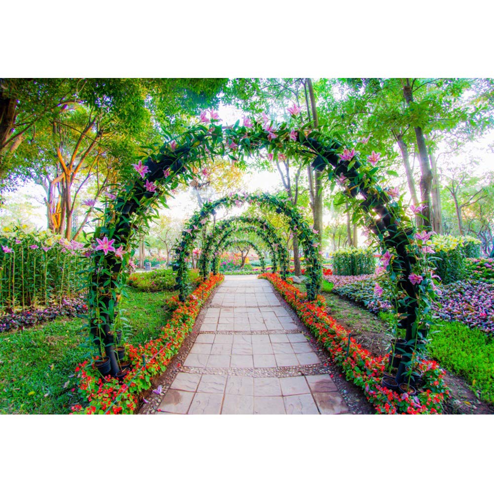 Beautiful Flower Garden Path