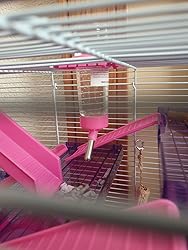 Rosewood PICO Hamster Home, Extra Large, Translucent Teal : Amazon.co ...