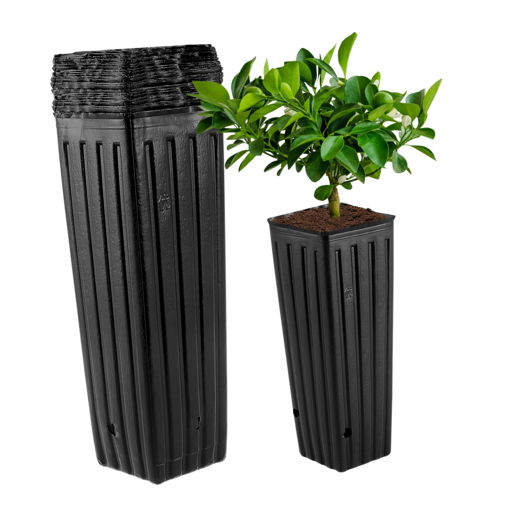 Nursery Pots For Growing Tall Plants Shop Nursery Pots Online