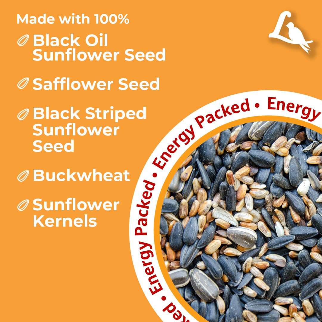 Snapklik.com : Lyric Cardinal Wild Bird Seed For Outside Feeders ...