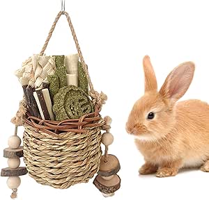 Amazon.com : starfa lab Rabbit Chew Toys,Natural Seagrass Hanging Chew ...