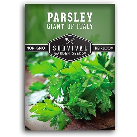 Amazon.com: Survival Garden Seeds - Giant of Italy Parsley Seed for ...