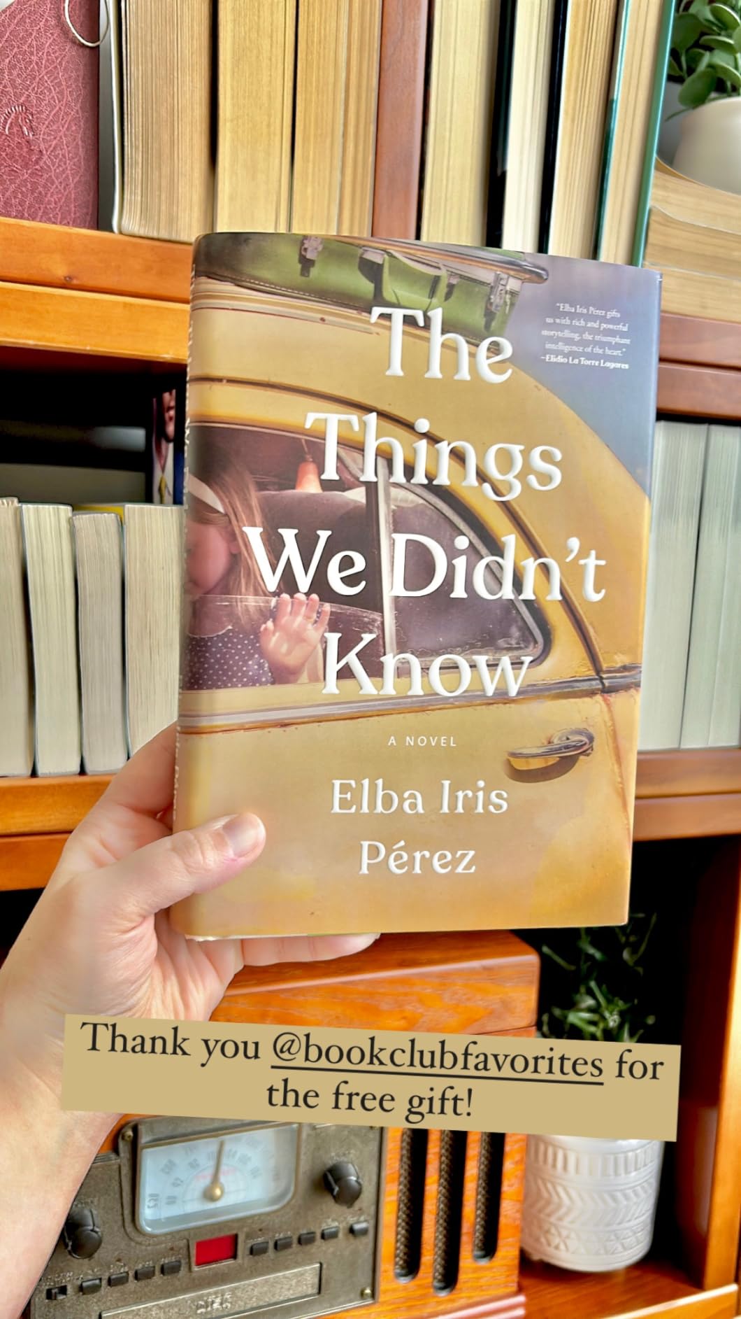 The Things We Didn't Know: Pérez, Elba Iris: 9781668012079: Amazon.com ...