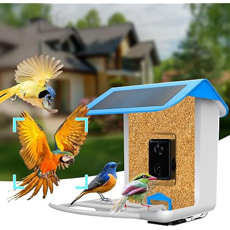 Amazon.com: Wasserstein Bird Feeder Camera Case Compatible with Blink ...