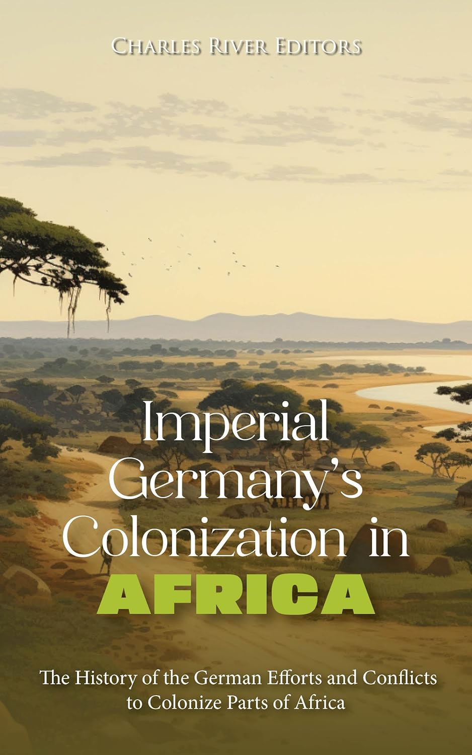 Amazon.com: Imperial Germany’s Colonization in Africa: The History of ...