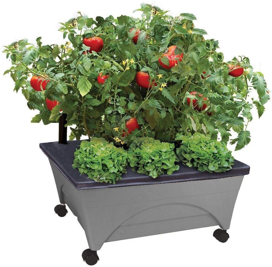 Amazon.com : Emsco Group City Picker Raised Bed Grow Box – Self ...