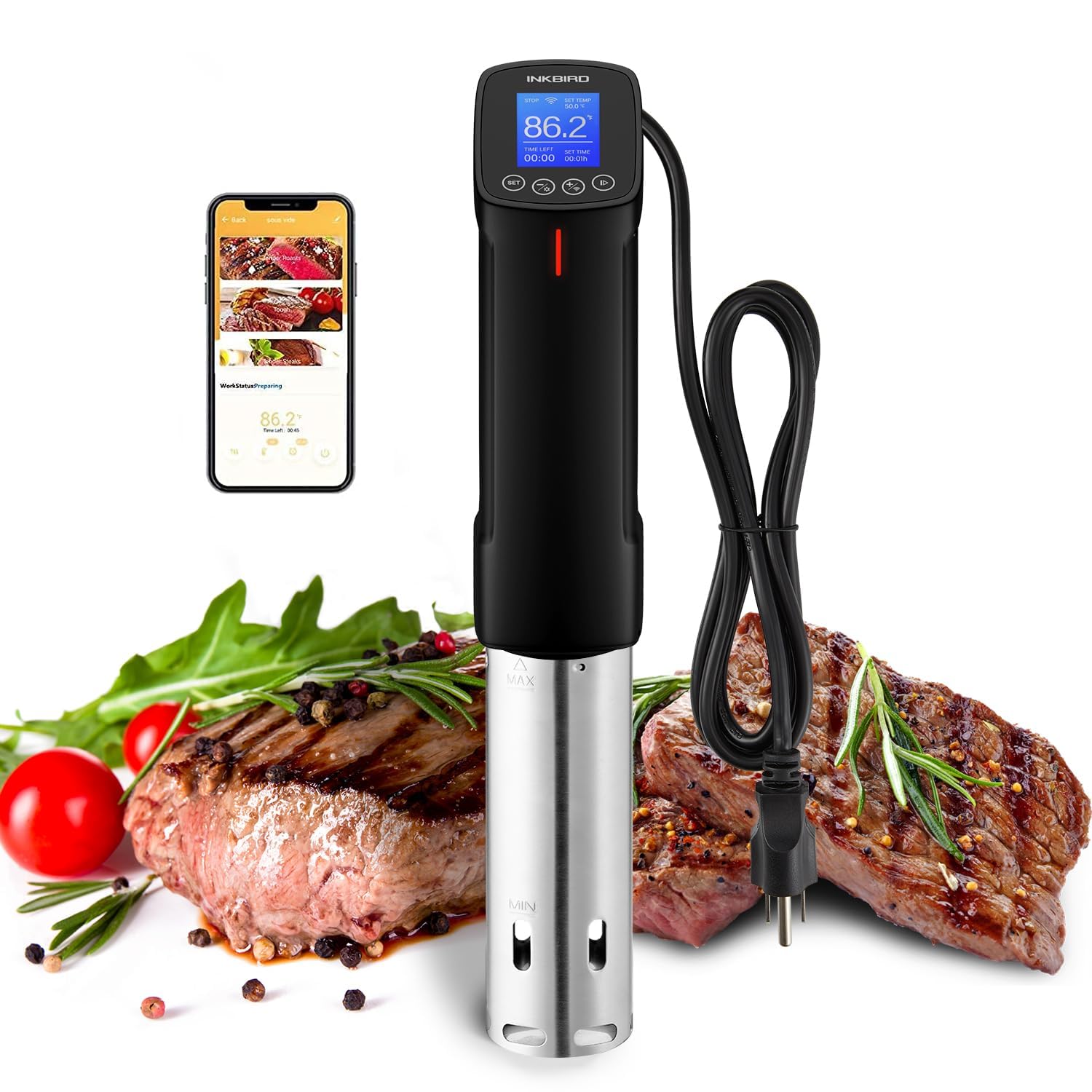 7 Best Budget Sous Vide | Skip the Overpriced Models
