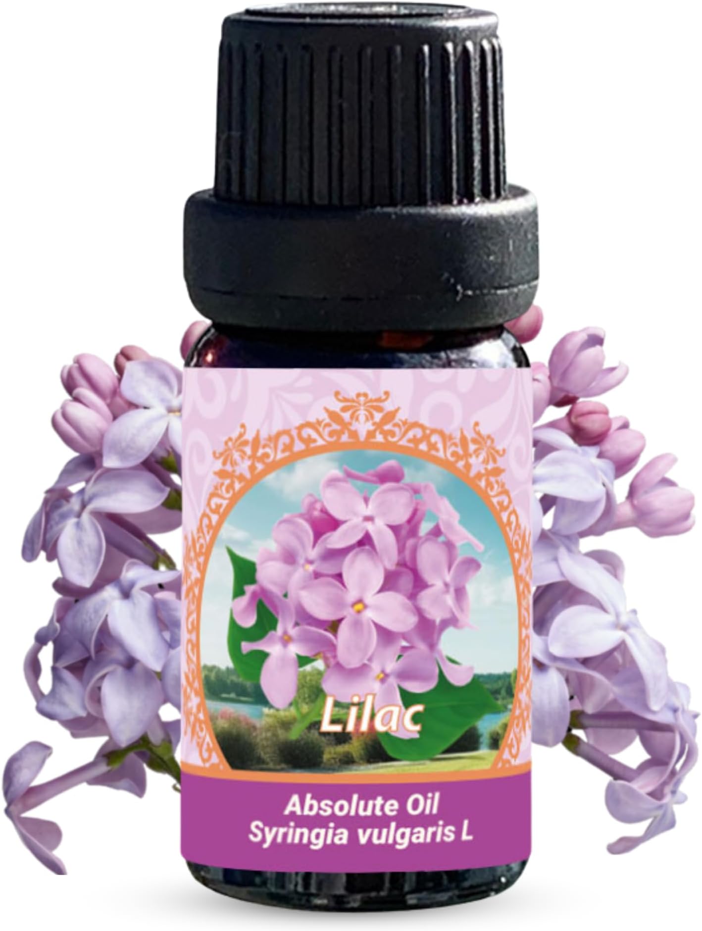 Amazon.com: Lilac Essential Oil - Premium Grade 100% Undiluted ...