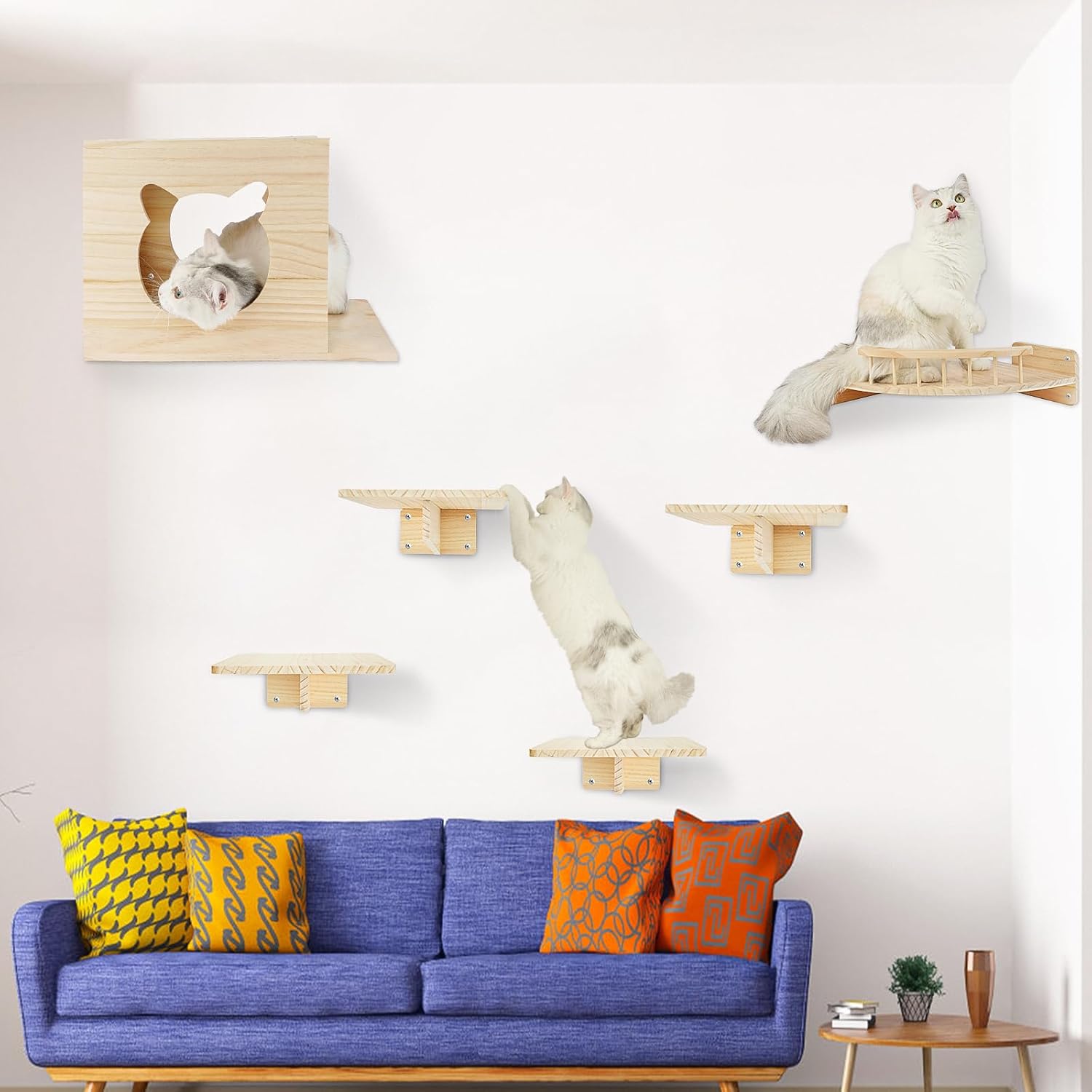 Amazon.com : TIMIEEYA Cat Wall Shelves - Set of 6 Cat Wall Furniture ...