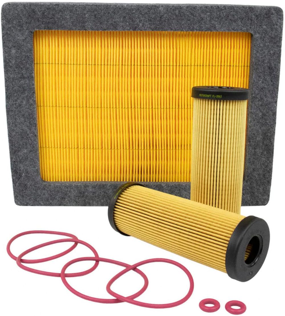 Amazon.com: Motorcraft FA1754B6 Air Filter : Automotive