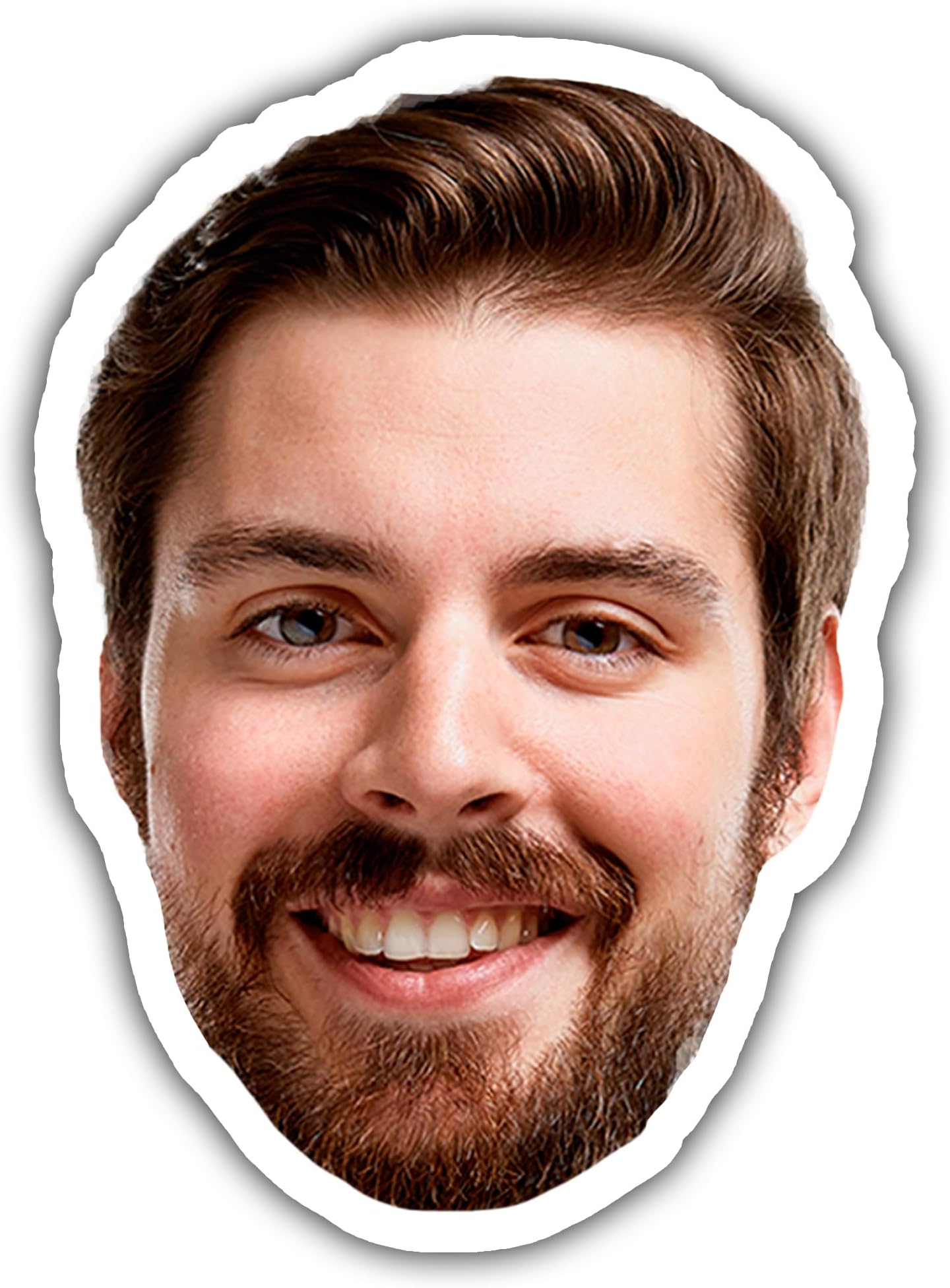 Amazon.com: Personalized Face Stickers - Portrait | Sheet with Die Cut ...