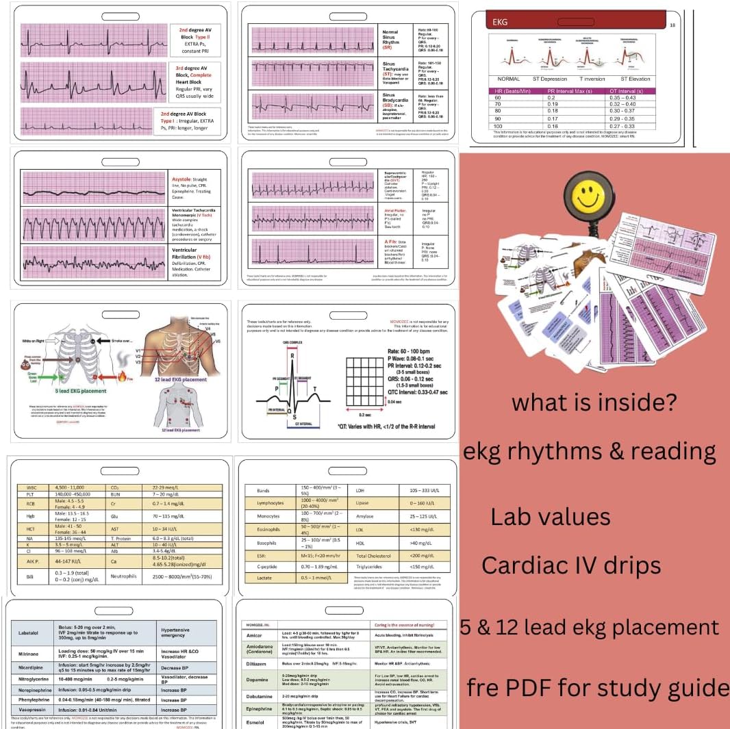 Juego de tarjetas de identificación de referencia para estudiantes de ...