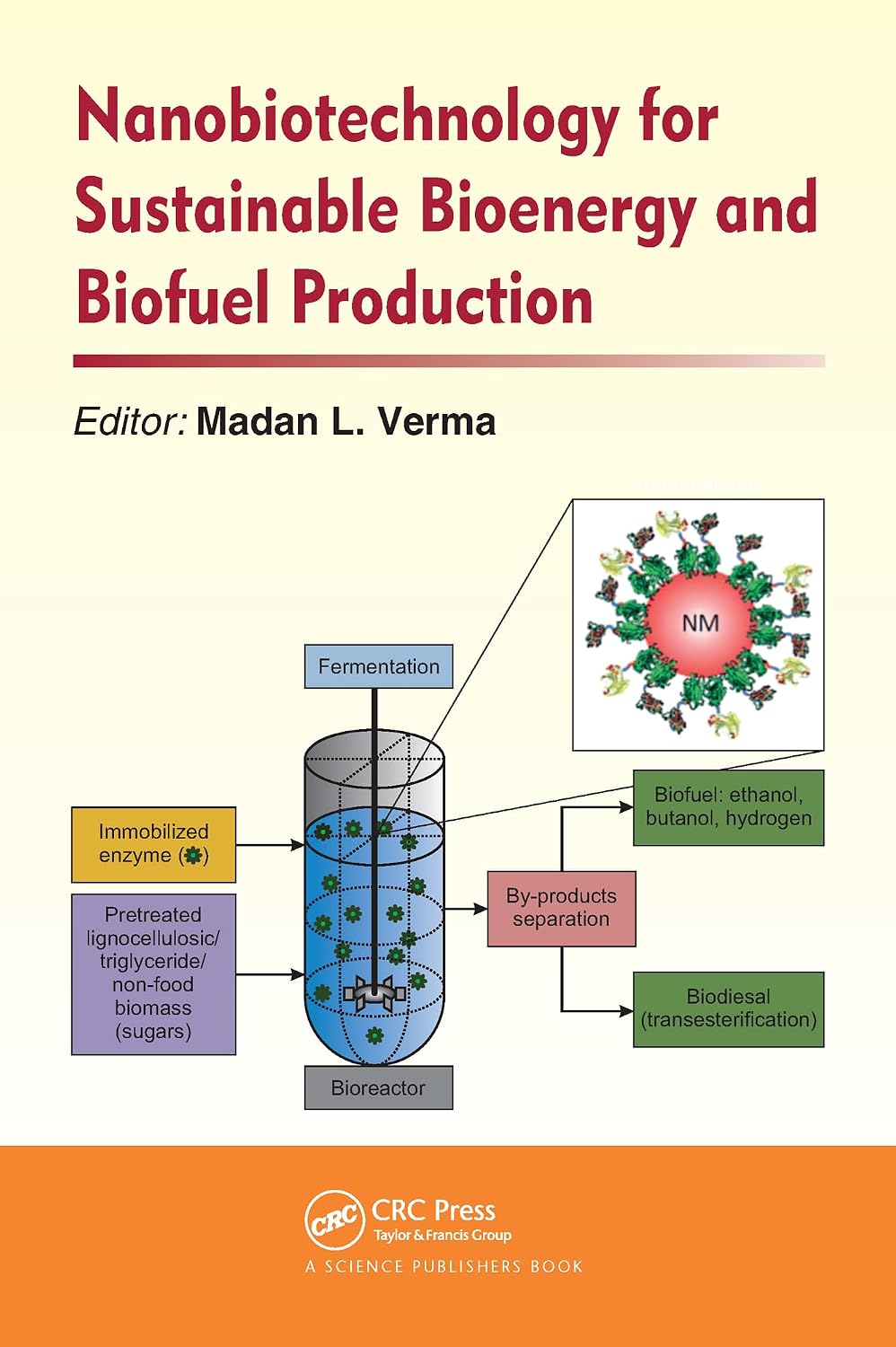 Nanobiotechnology for Sustainable Bioenergy and Biofuel Production ...