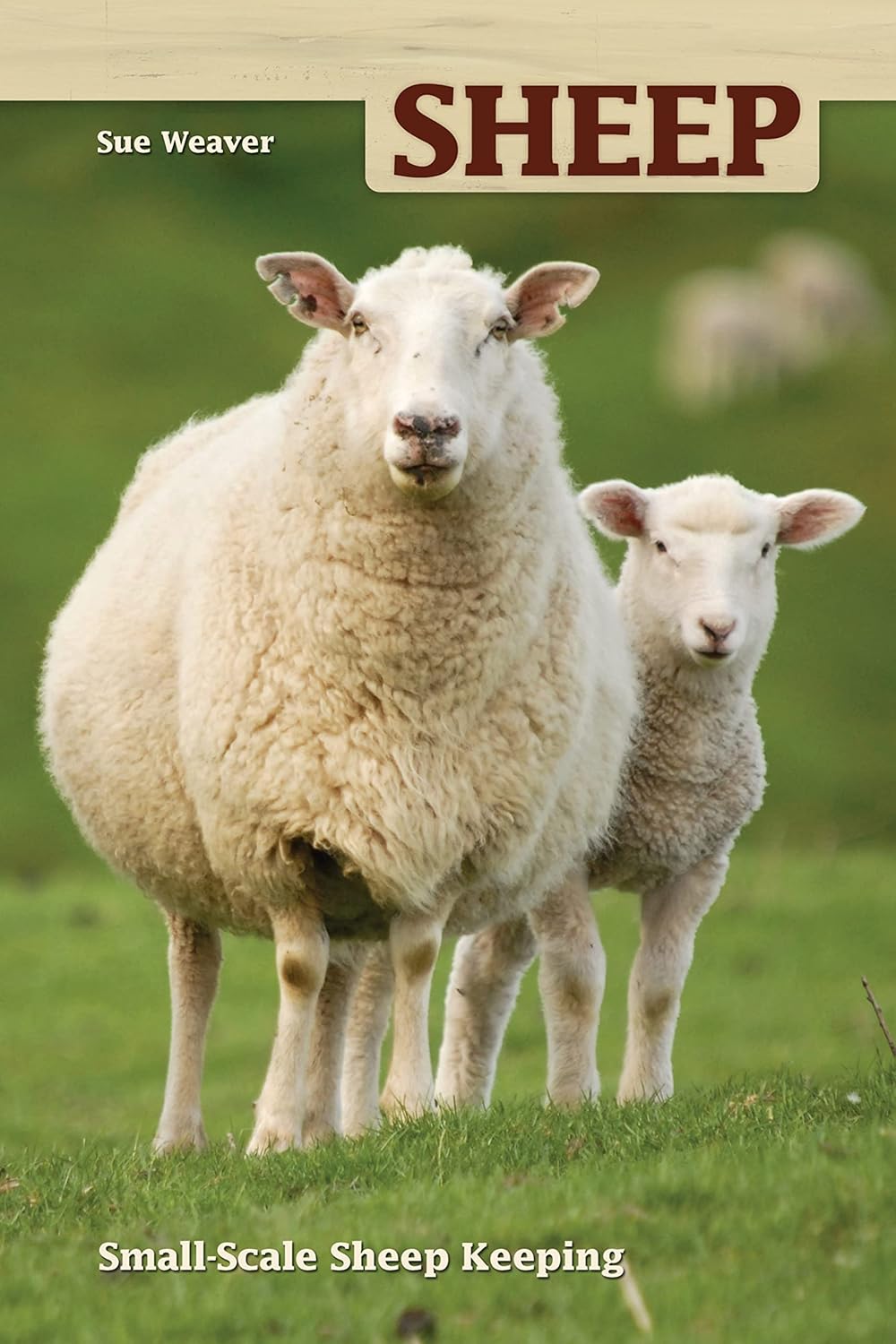 Sheep: Small Scale Sheep Keeping (Hobby Farm): Weaver, Sue ...
