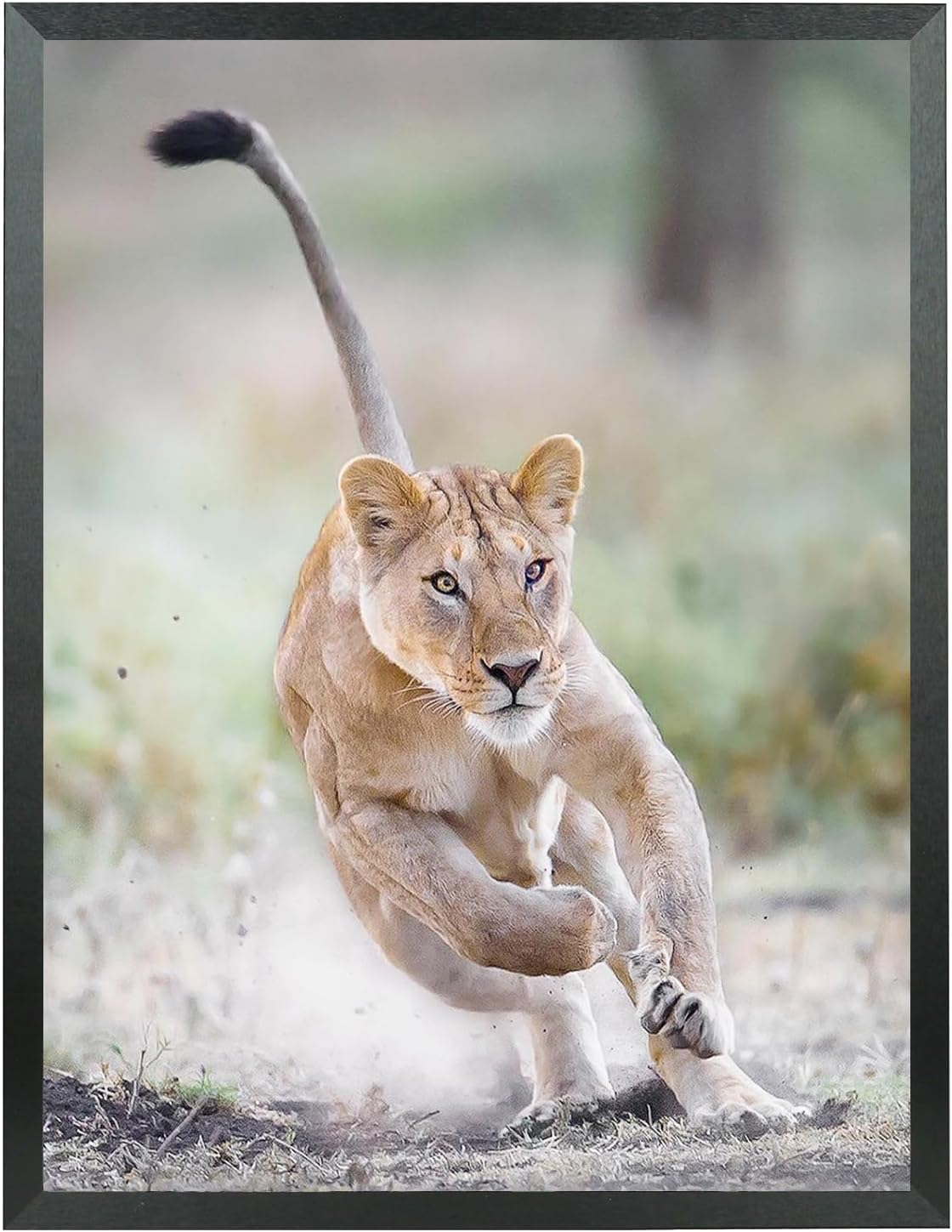 Amazon.com - Mxtallup 18x21 Picture Frame Solid Wood 18x21 Poster Frame ...