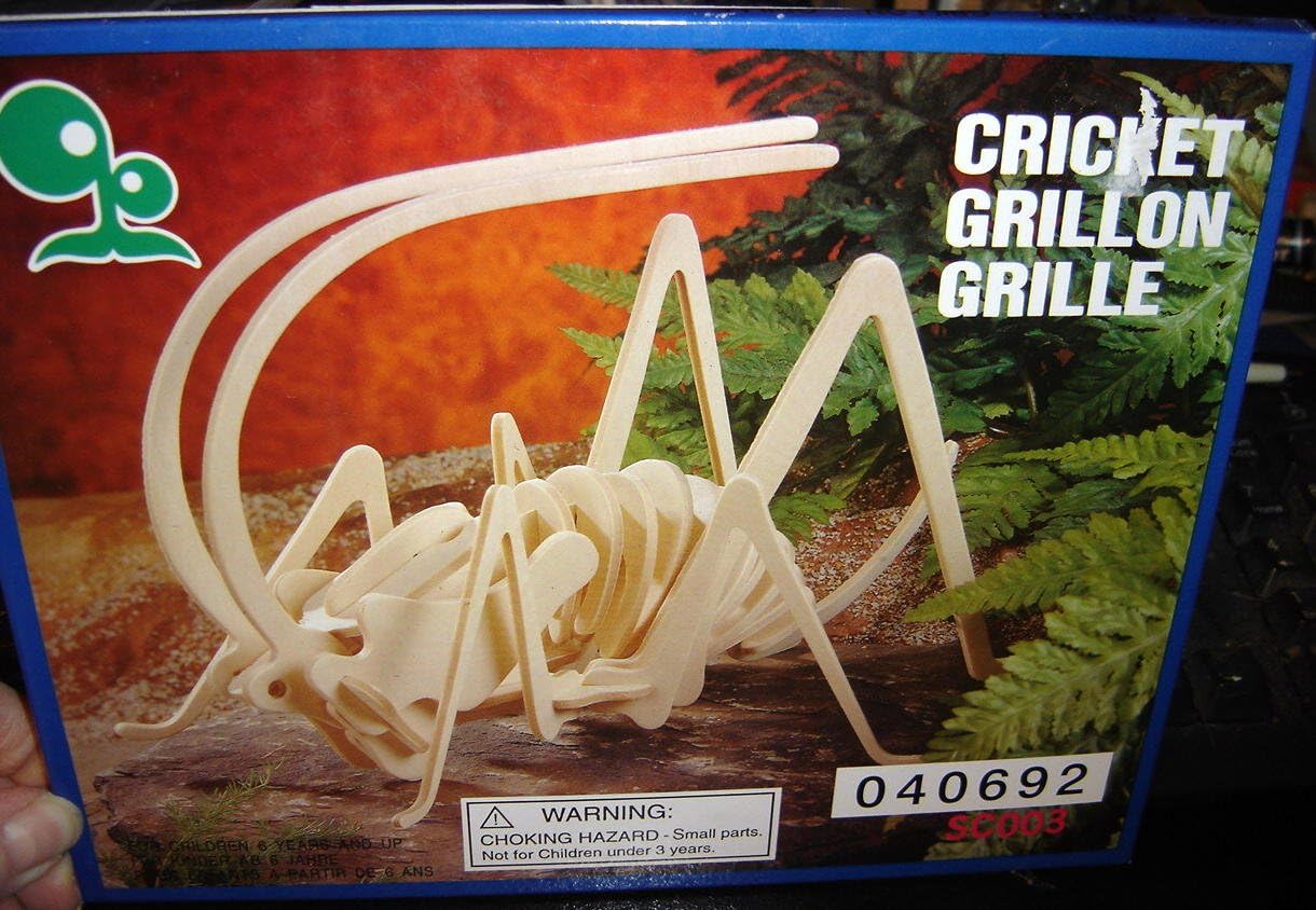 Amazon.com: Cricket - (Wooden Model Kit) : Arts, Crafts & Sewing
