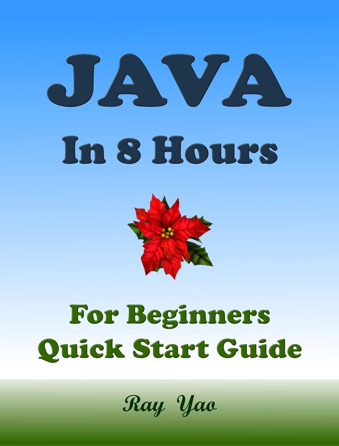 Amazon.com: JAVA: Java Coding in 8 Hours, For Beginners, Learn Coding ...
