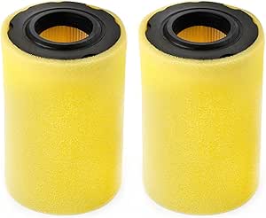 Amazon.com: SYOWADA 2 Pcs Air Filter Replacement For BS 5421 5428 ...