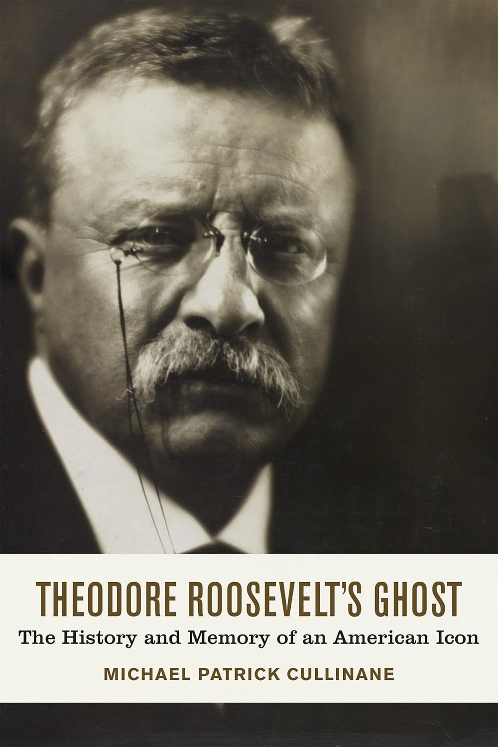 Theodore Roosevelt's Ghost: The History and Memory of an American Icon ...