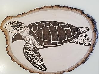 Amazon.com: Colwood Super Pro II Woodburning KIt