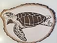 Amazon.com: Colwood Super Pro II Woodburning KIt
