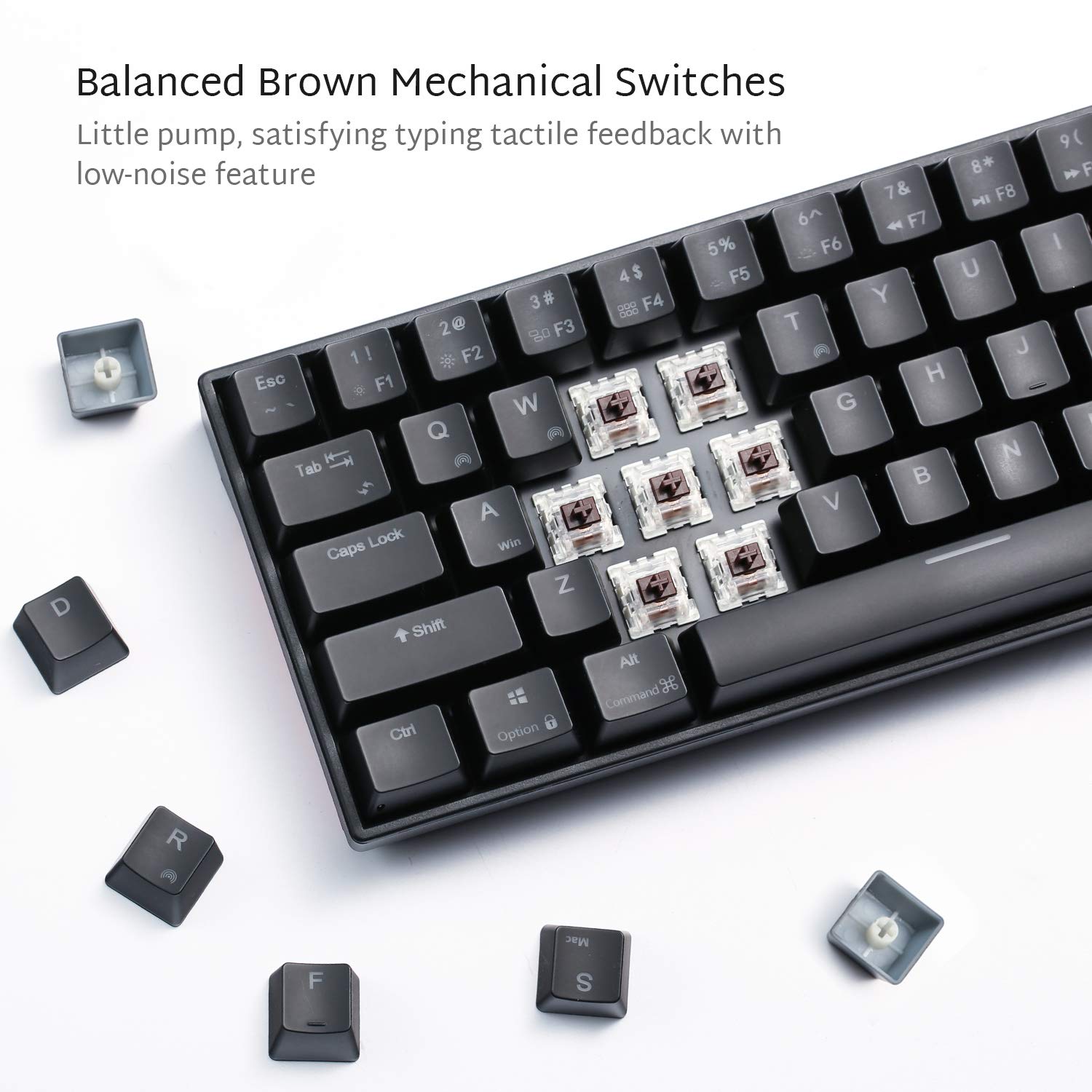 RK ROYAL KLUDGE RK71 70% RGB Wireless Mechanical Gaming Keyboard with ...