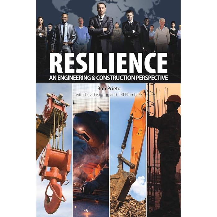Buy Resilience: An Engineering & Construction Perspective Online at ...
