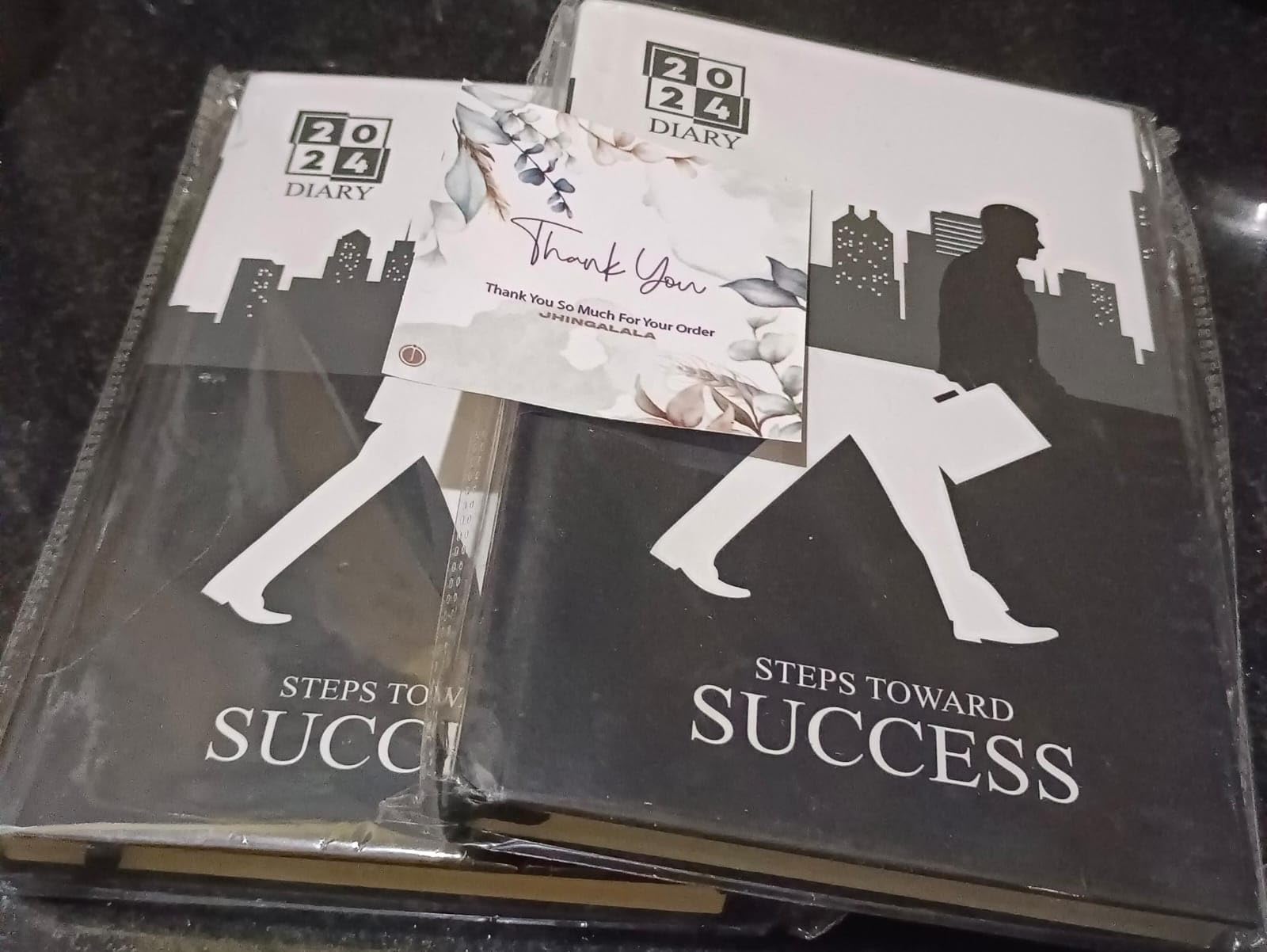 Diarymart Diary 2025 With Monthly Planner | Pack of 2 Executive Planner ...