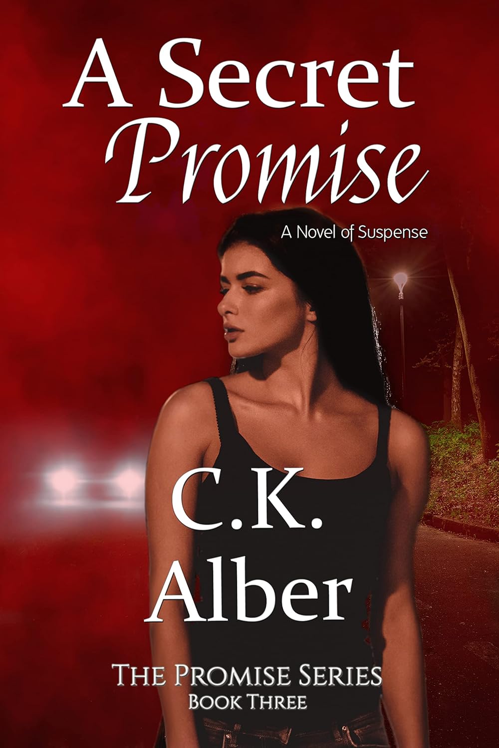 A Secret Promise (Promise Series Book 3) - Kindle edition by Alber, C.K ...