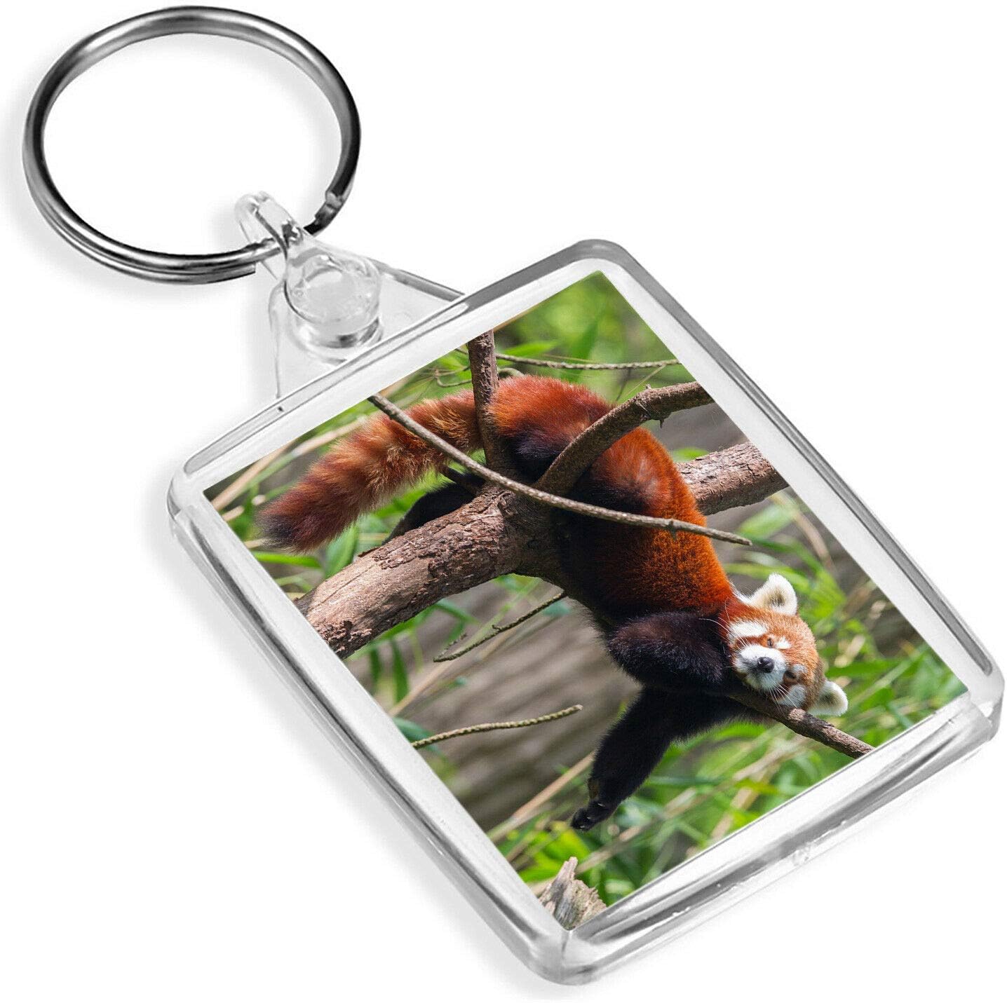 Cute Lesser Red Panda Keyring Animal Tree Bear Endangered Keyring ...