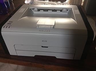 Amazon.in: Buy Ricoh SP 210 Monochrome Laser Printer Online at Low ...