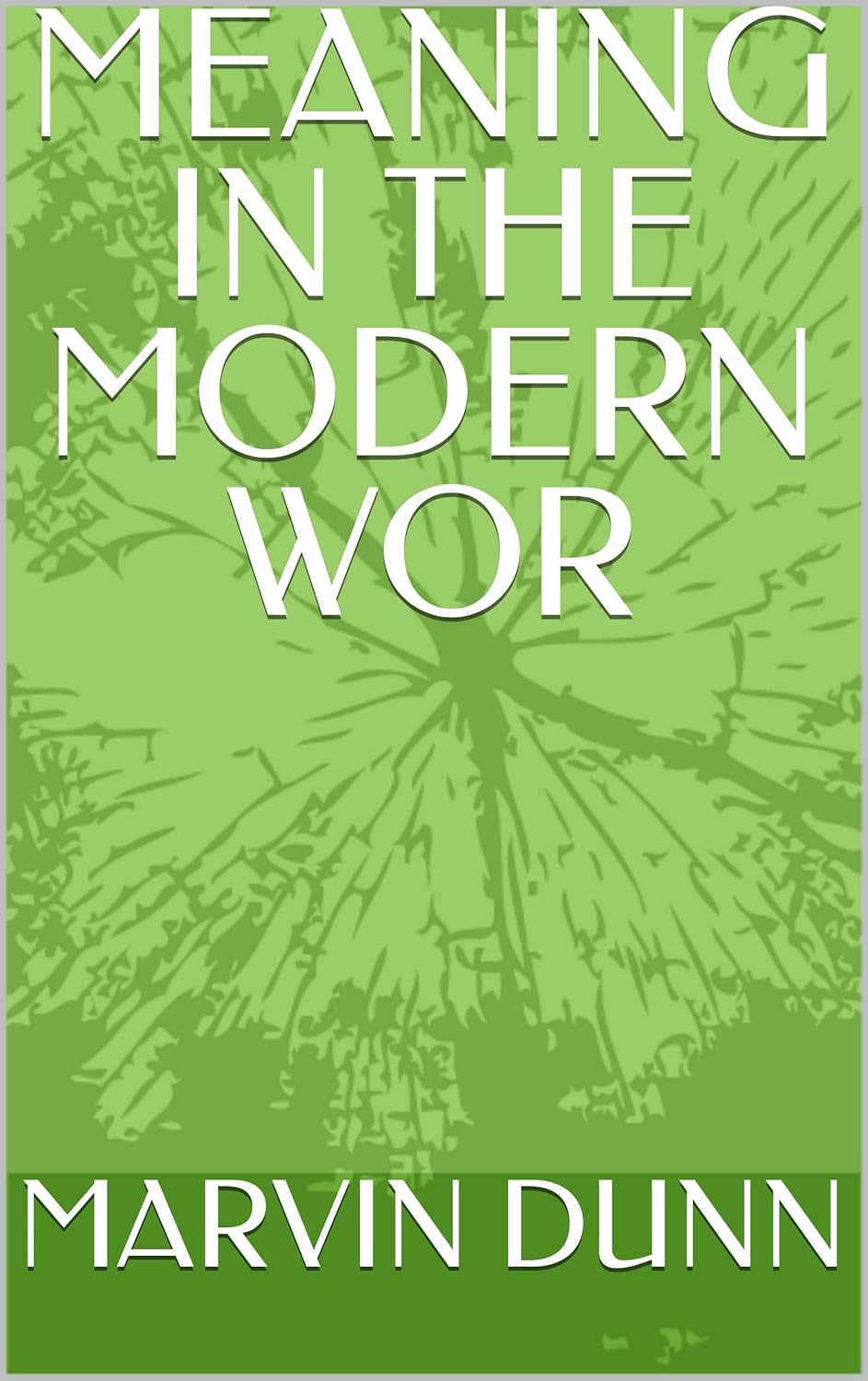 Amazon.com: MEANING IN THE MODERN WOR eBook : DUNN, MARVIN : Kindle Store