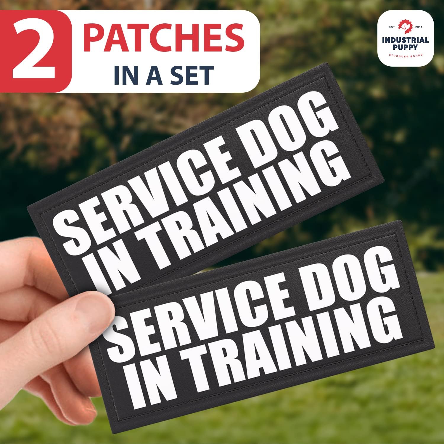 Service Dog in Training Patch with Hook Back and Reflective Lettering ...