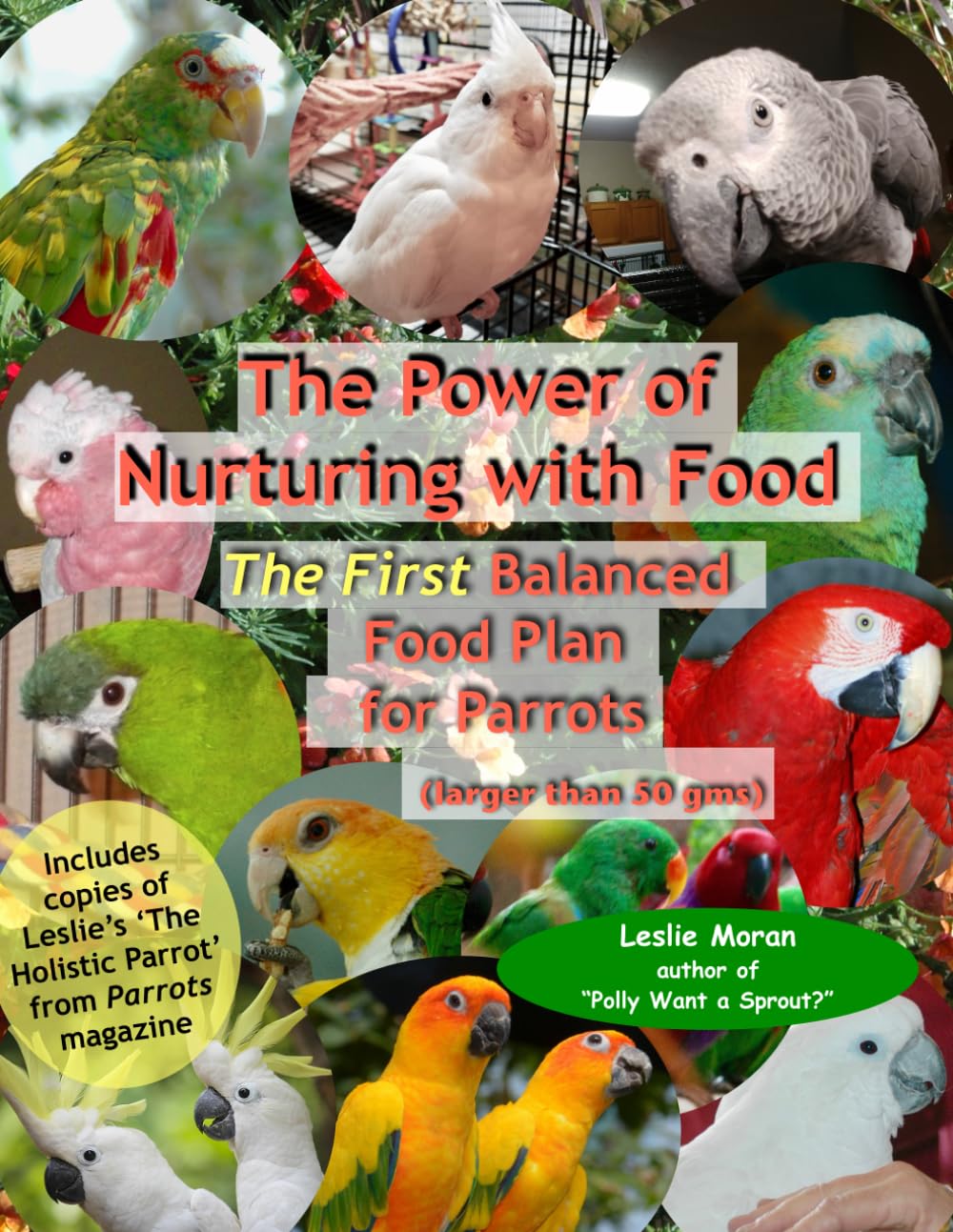 The Power of Nurturing with Food: The FIRST Balanced Food Plan for ...