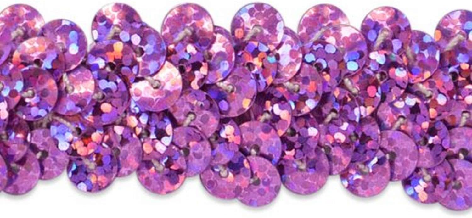 Amazon.com: Trims by the Yard 2-Row Starlight Hologram Sequin Stretch ...