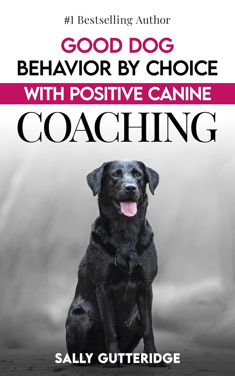 Good Dog Behaviour by Choice with Positive Canine Coaching (Mission ...