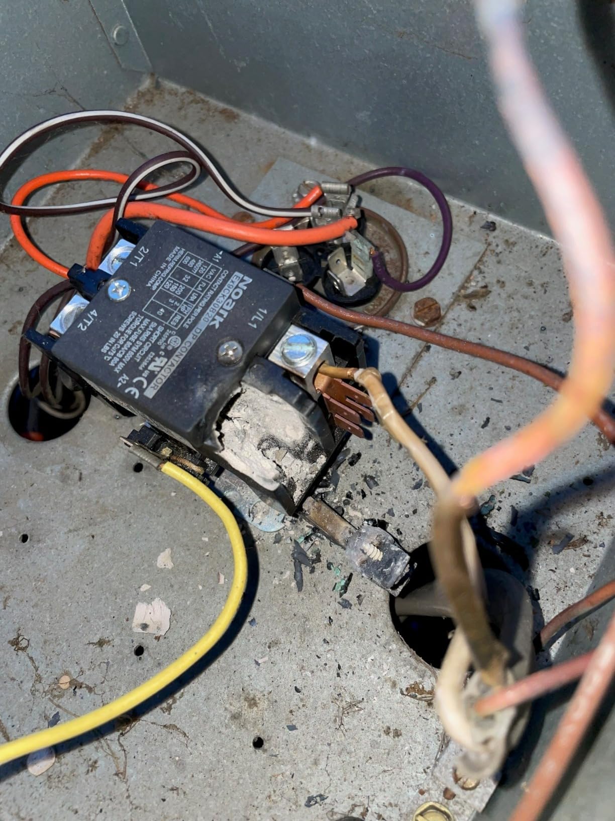 Amazon.com: Rheem / Ruud / Protech Contactor 42-25101-03 40A 1P 24V ...