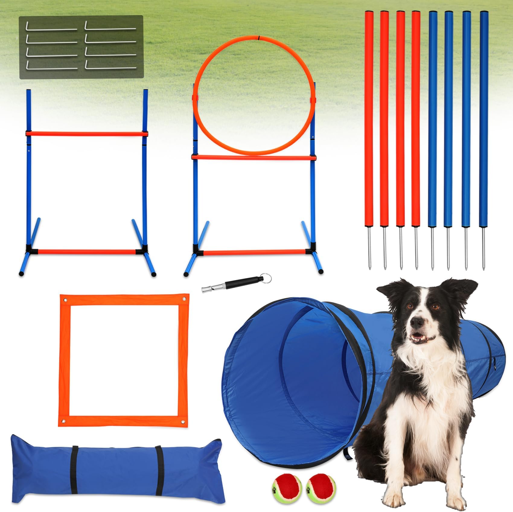 Amazon.com : Dog Agility Training Equipment Course Set, Weave Poles ...