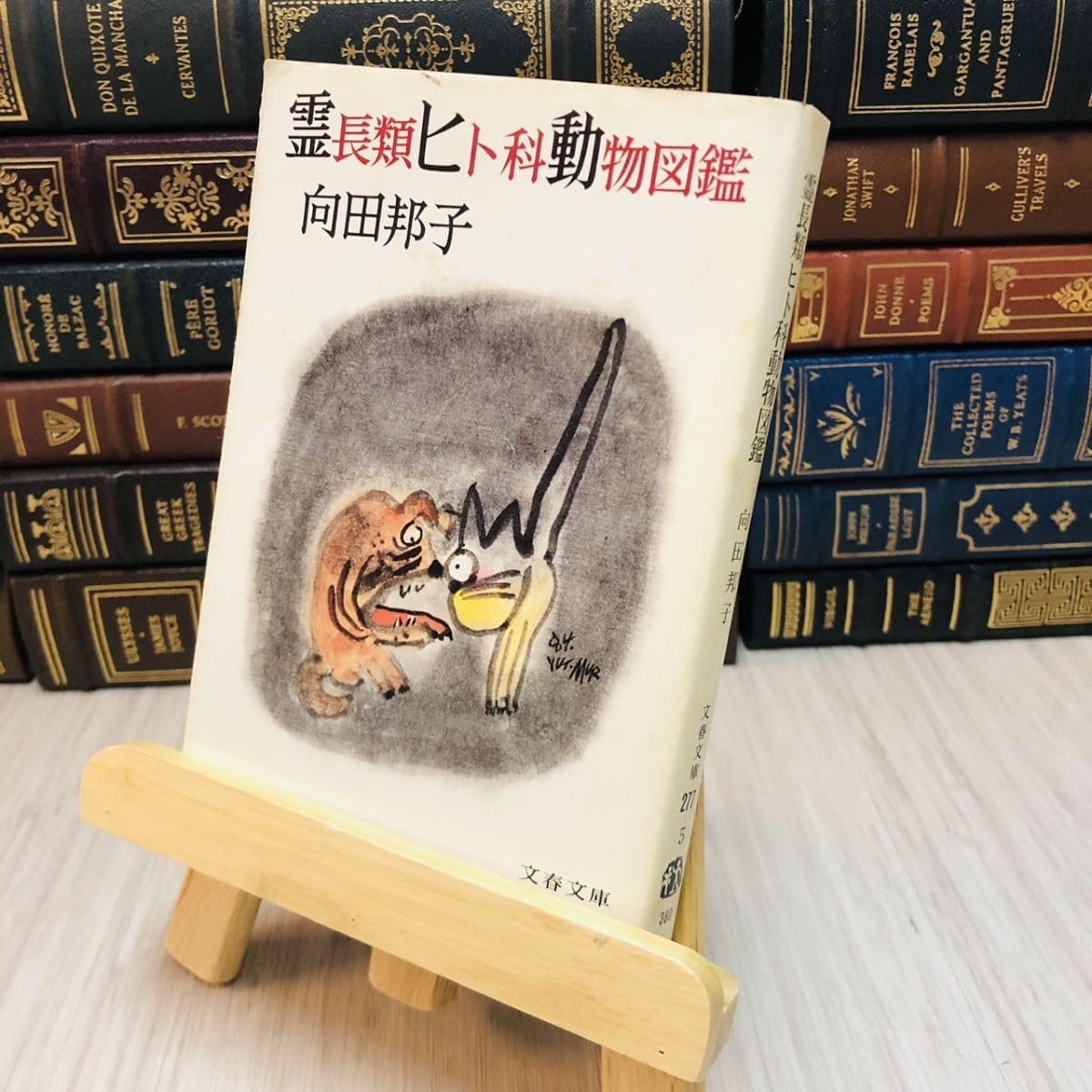 Amazon | 8-1 霊長類ヒト科動物図鑑 向田邦子 | 生態・採集 | おもちゃ