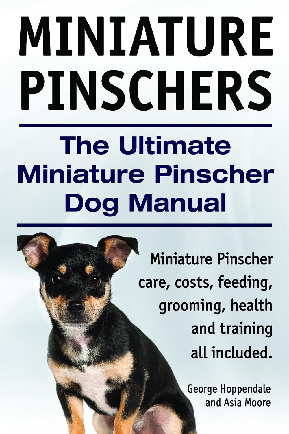 Miniature Pinschers Dogs. Miniature Pinscher care, costs, feeding ...